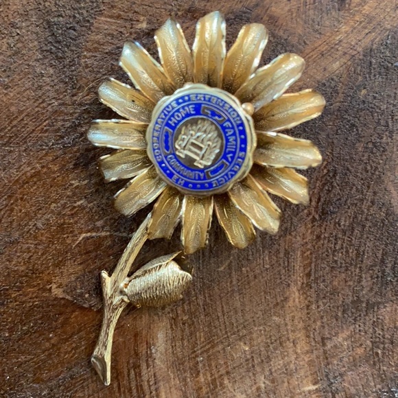 Vintage | Jewelry | Cooperative Extension Service Lapel Pin Usda ...